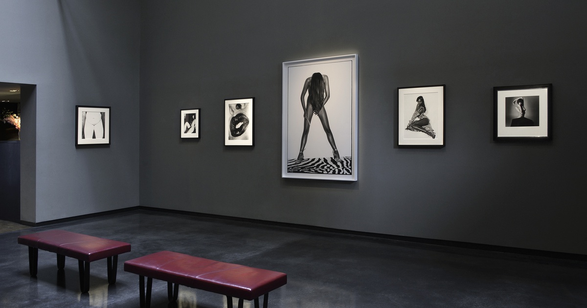 Gavin Bond - Exhibitions | Hamiltons